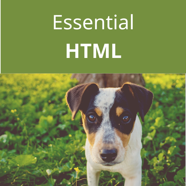 Essential Html A Free Html Programming Book 5783