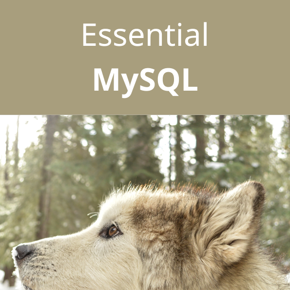 Getting started with MySQL Getting started with MySQL