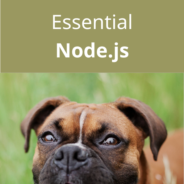 Essential Node - a free Node.js programming book