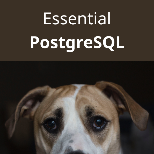 Using Jsonb Operators